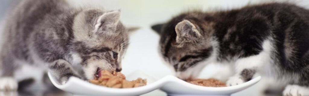 Digestibility in Animal Nutrition - Hanseatic Agri