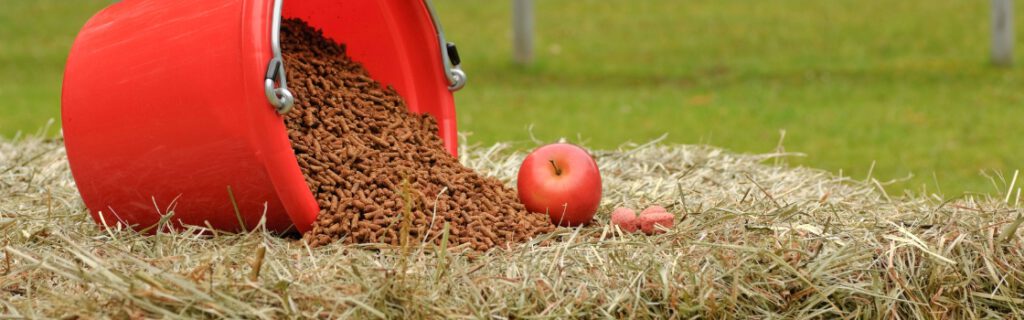 Tierfutter: Arten, Herstellung und Inhaltsstoffe - Hanseatic Agri