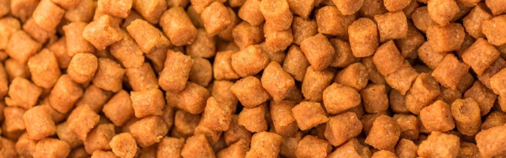Animal Proteins in Animal Feeds (Protein Sources in Animal nutrition)
