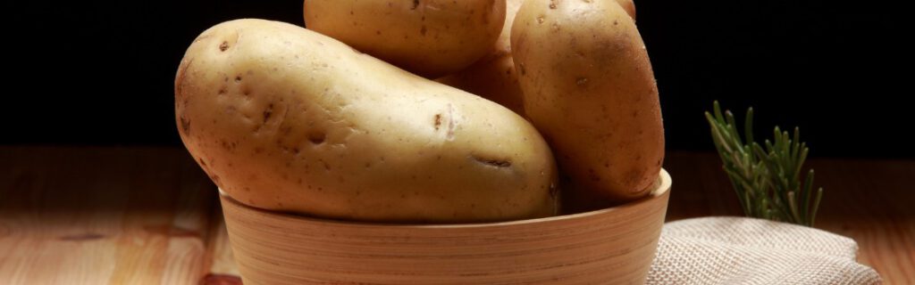 Potato Protein Raw Materials - Hanseatic Agri