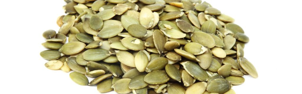 Pumpkin Seed Protein Raw Materials - Hanseatic Agri