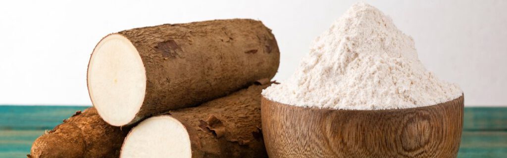 Tapioca Starch Raw Material - Hanseatic Agri