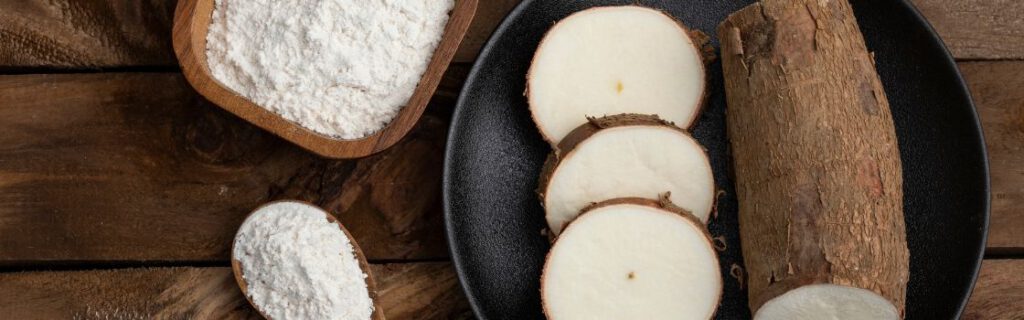 Tapioca Starch Bio Raw Material - Hanseatic Agri