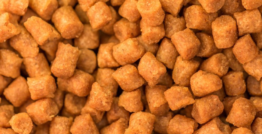 Animal Proteins in Animal Feeds (Protein Sources in Animal nutrition)